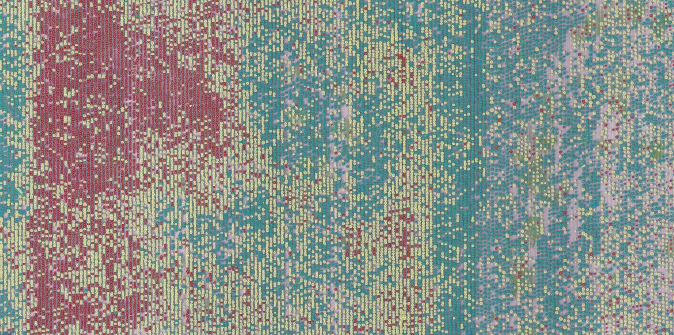 Plant Health Map – Southern Drone OPS